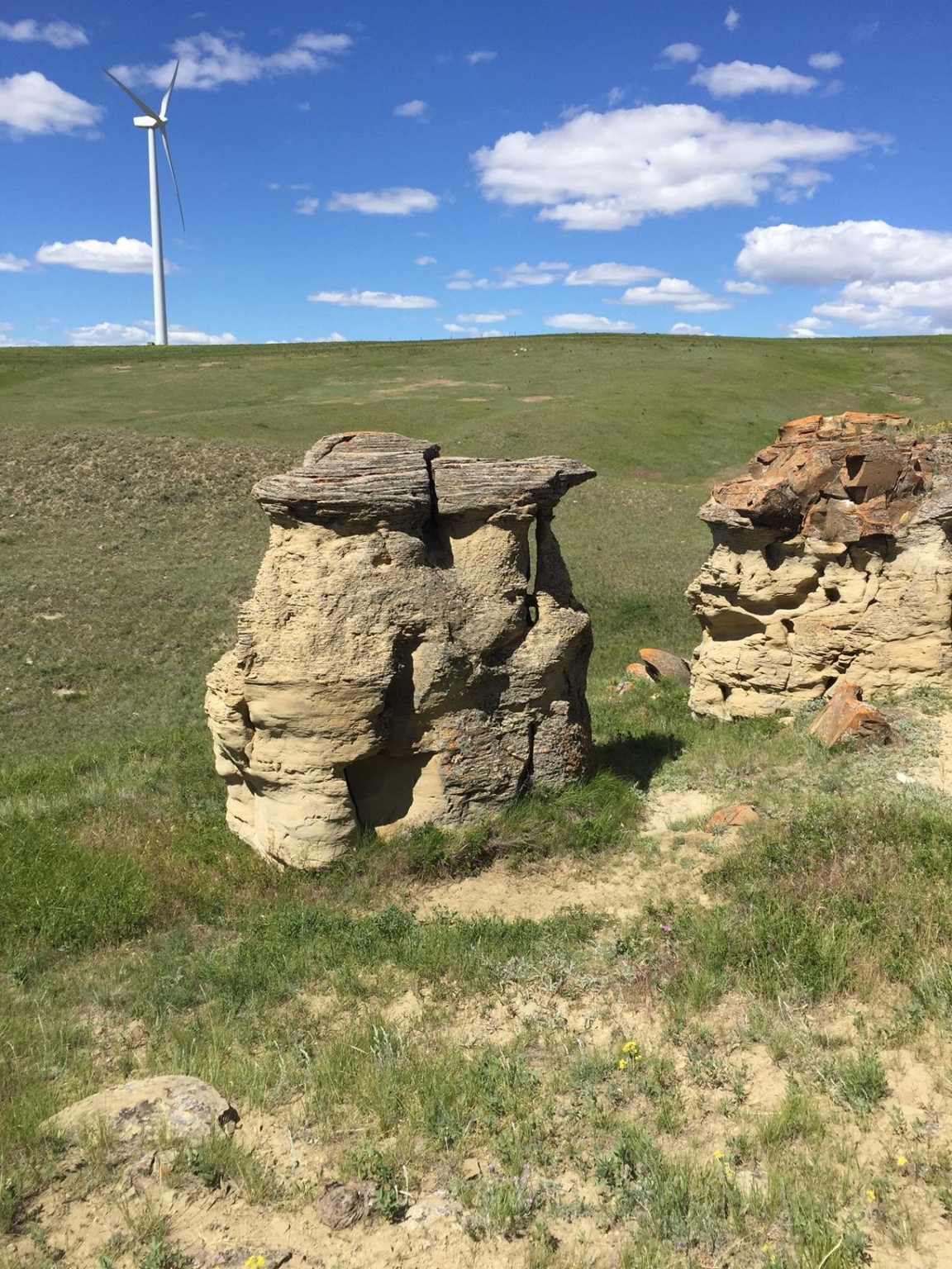 H & J Quarters Farm No Wind | Ethridge Montana | Fay Ranches