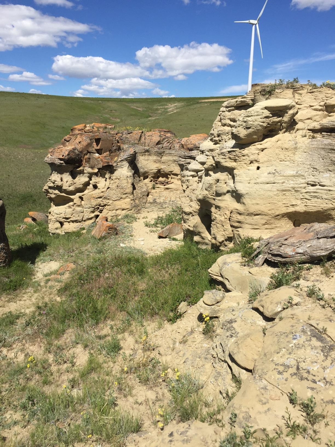 H & J Quarters Farm No Wind | Ethridge Montana | Fay Ranches