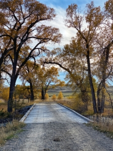 Two Bear Ranch | Big Timber Montana | Fay Ranches