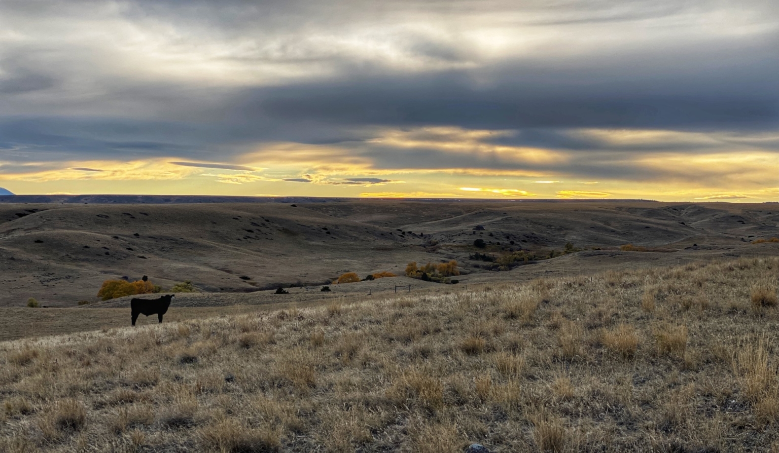 Two Bear Ranch | Big Timber Montana | Fay Ranches