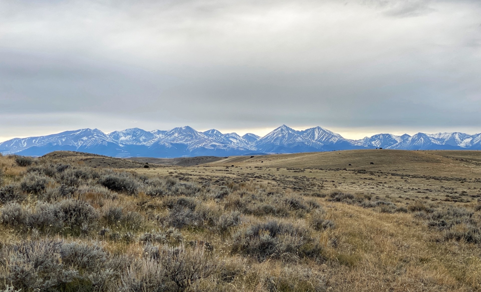 Two Bear Ranch | Big Timber Montana | Fay Ranches