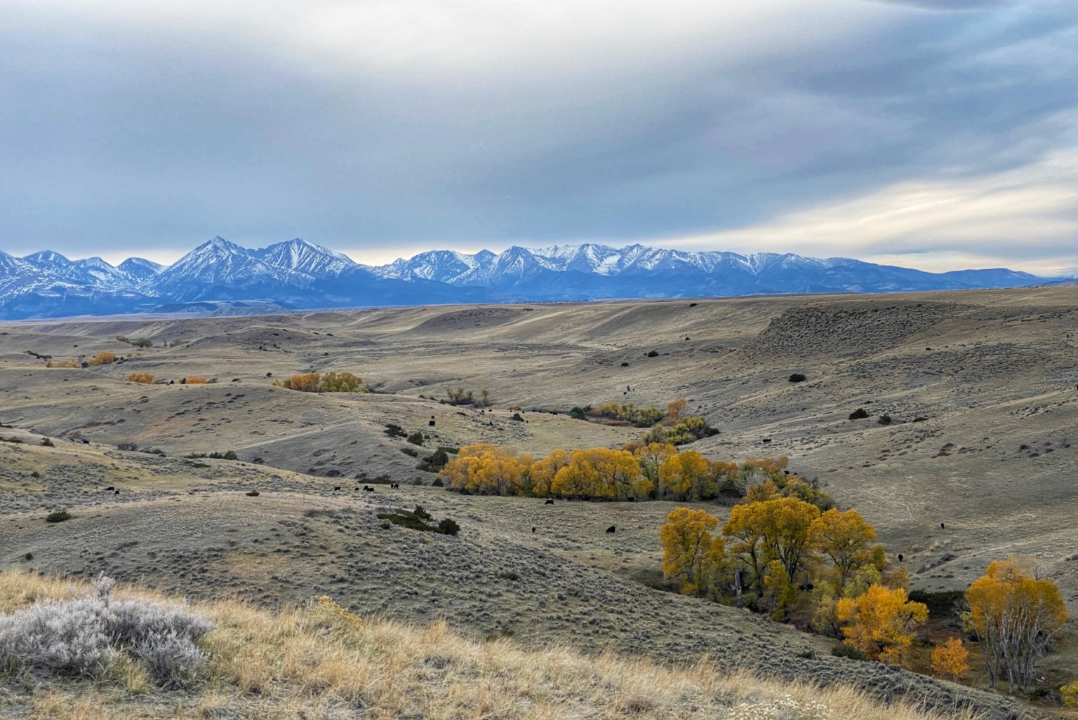Two Bear Ranch | Big Timber Montana | Fay Ranches