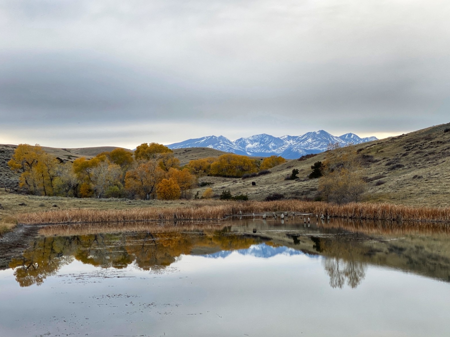 Two Bear Ranch | Big Timber Montana | Fay Ranches