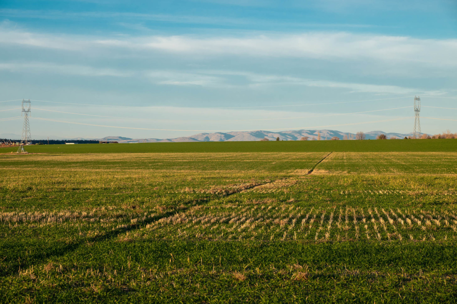 Cascade Mountain View Farm | Madras Oregon | Fay Ranches
