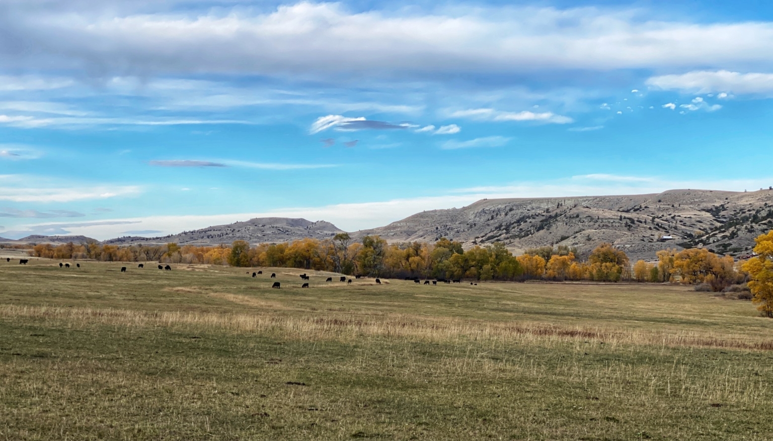 Two Bear Ranch | Big Timber Montana | Fay Ranches