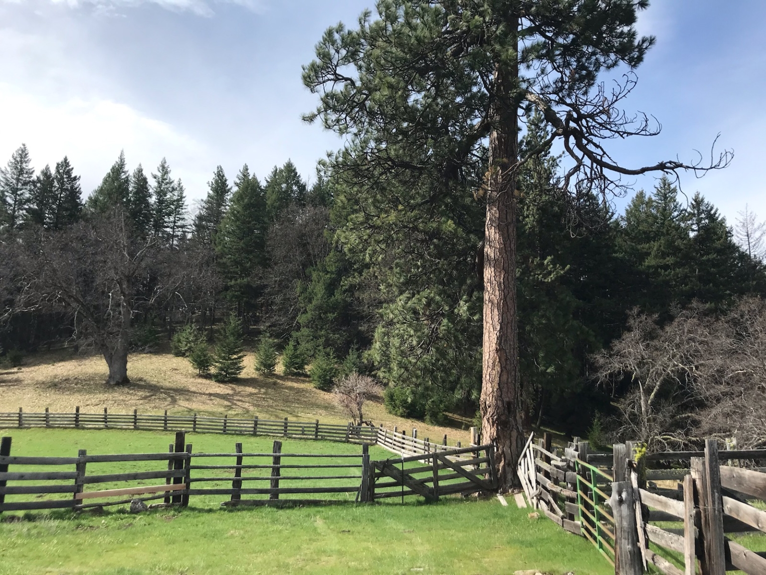 The Legend of Cove Creek Ranch | Ashland Oregon | Fay Ranches
