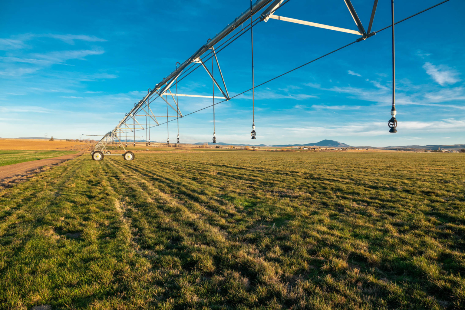 Cascade Mountain View Farm | Madras Oregon | Fay Ranches