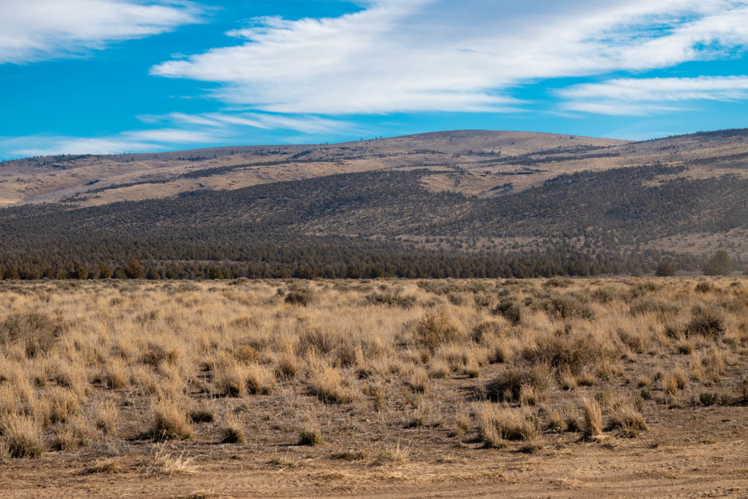 Millican Desert Ranch | Bend Oregon | Fay Ranches