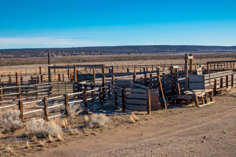 Millican Desert Ranch | Bend Oregon | Fay Ranches