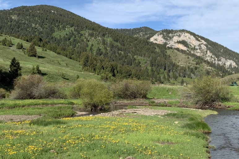 Wapiti Ranch - Montana | Fay Ranches