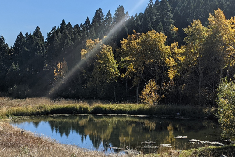 Kimberly Lowry | Montana Real Estate Broker | Fay Ranches