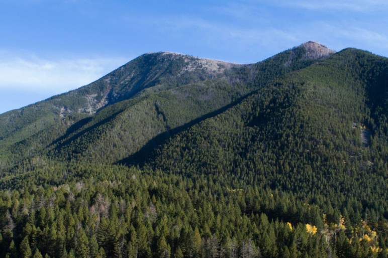 Wapiti Ranch - Montana | Fay Ranches