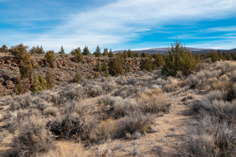 Millican Desert Ranch | Bend Oregon | Fay Ranches