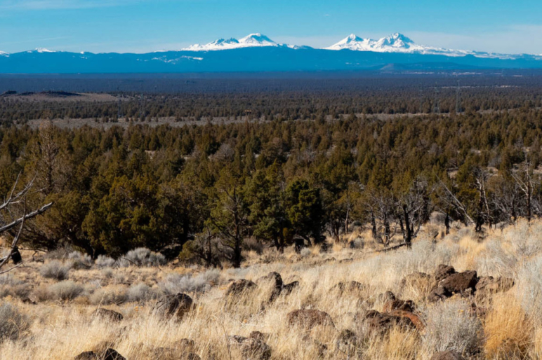 Flying S Ranch | World-Class Hunting Oregon | Fay Ranches