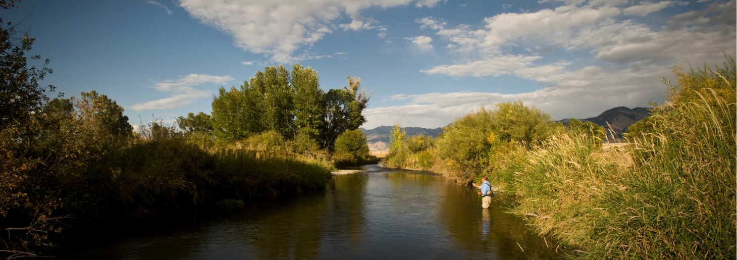 Fish Habitat Restoration | Fay Ranches