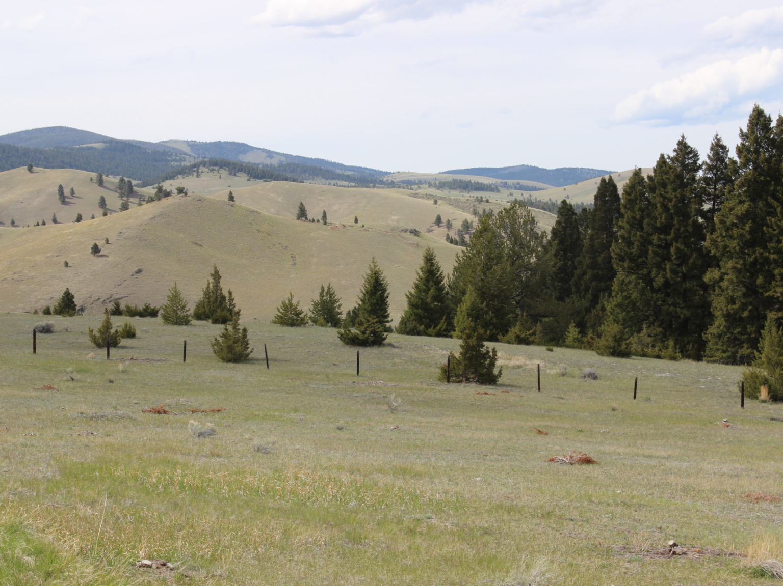 Stagecoach Road Ranch | Helena Montana | Fay Ranches