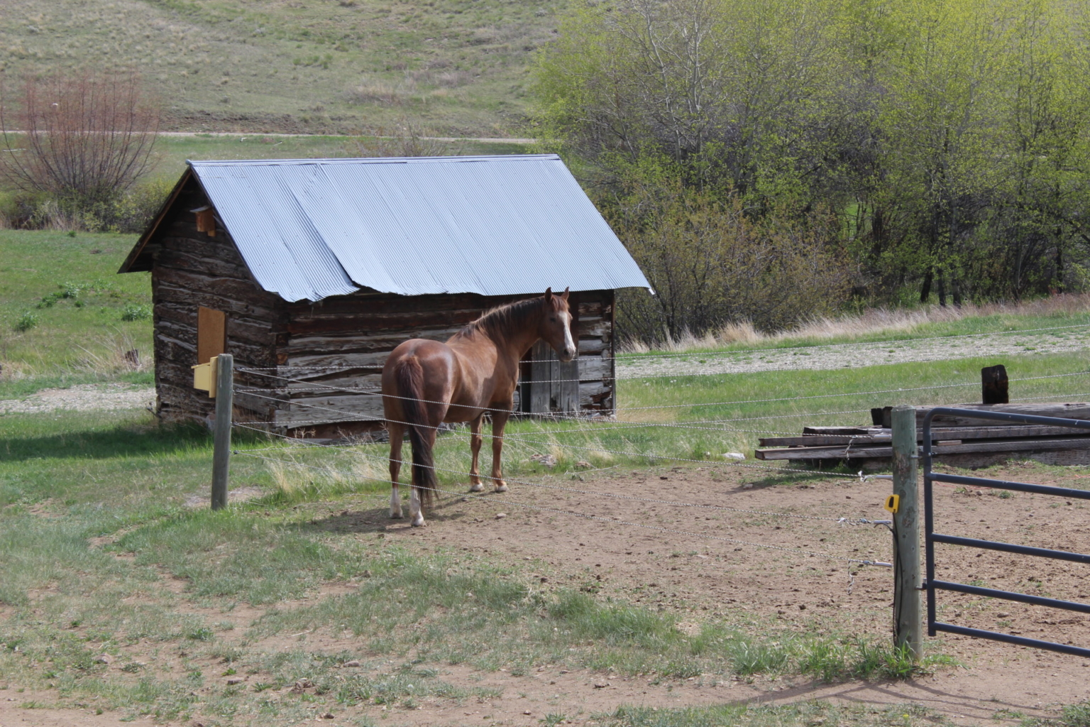Stagecoach Road Ranch | Helena Montana | Fay Ranches