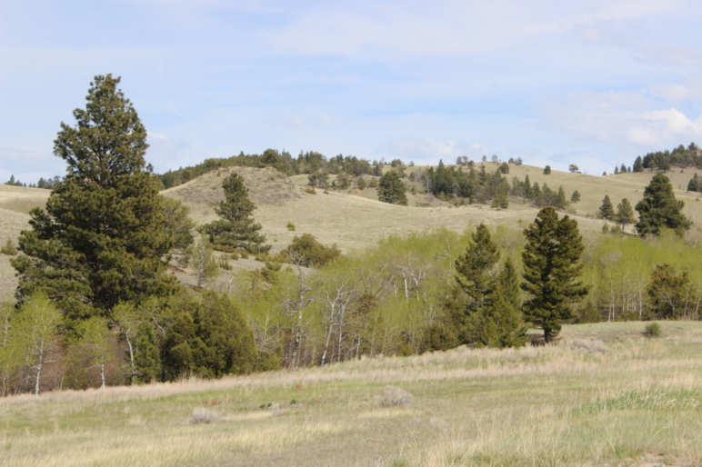 Stagecoach Road Ranch | Helena Montana | Fay Ranches