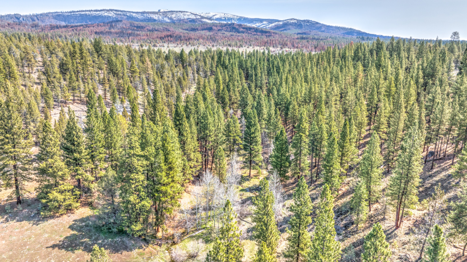 Deming Ranch | Bly Oregon | Fay Ranches