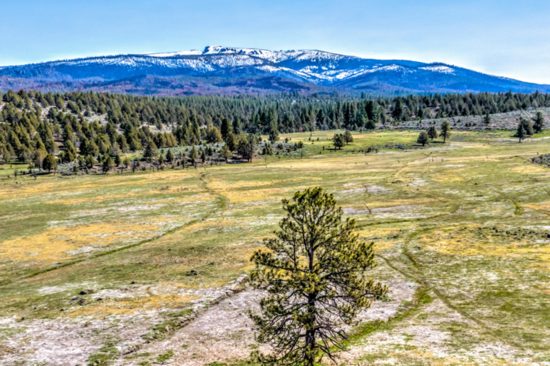 Oregon Ranch Land Properties For Sale | Fay Ranches