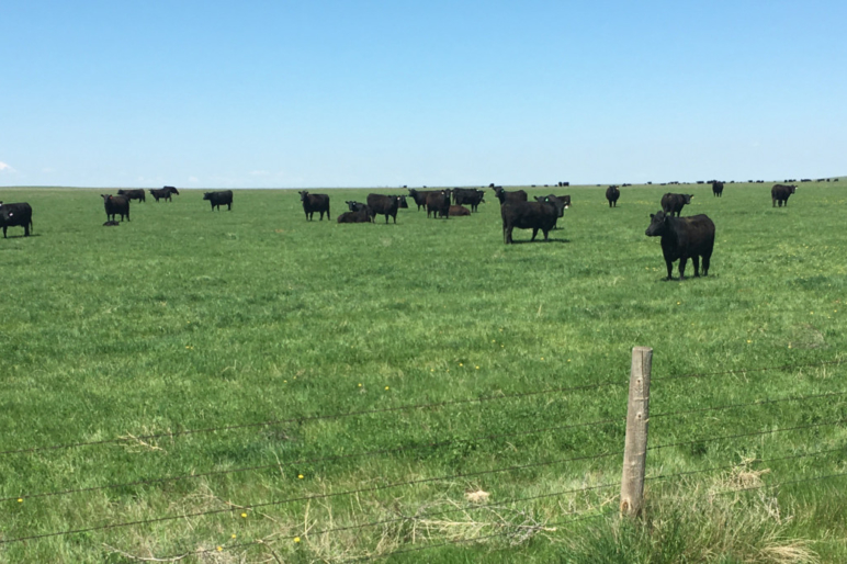 North Dakota Ranch Land For Sale at Nathan Ronk blog