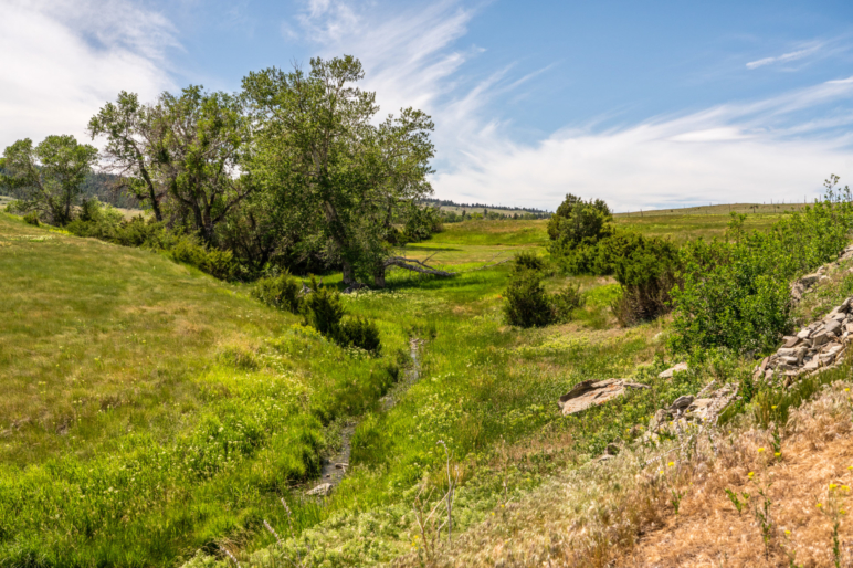 Stonehouse Ranch | Reed Point Montana | Fay Ranches