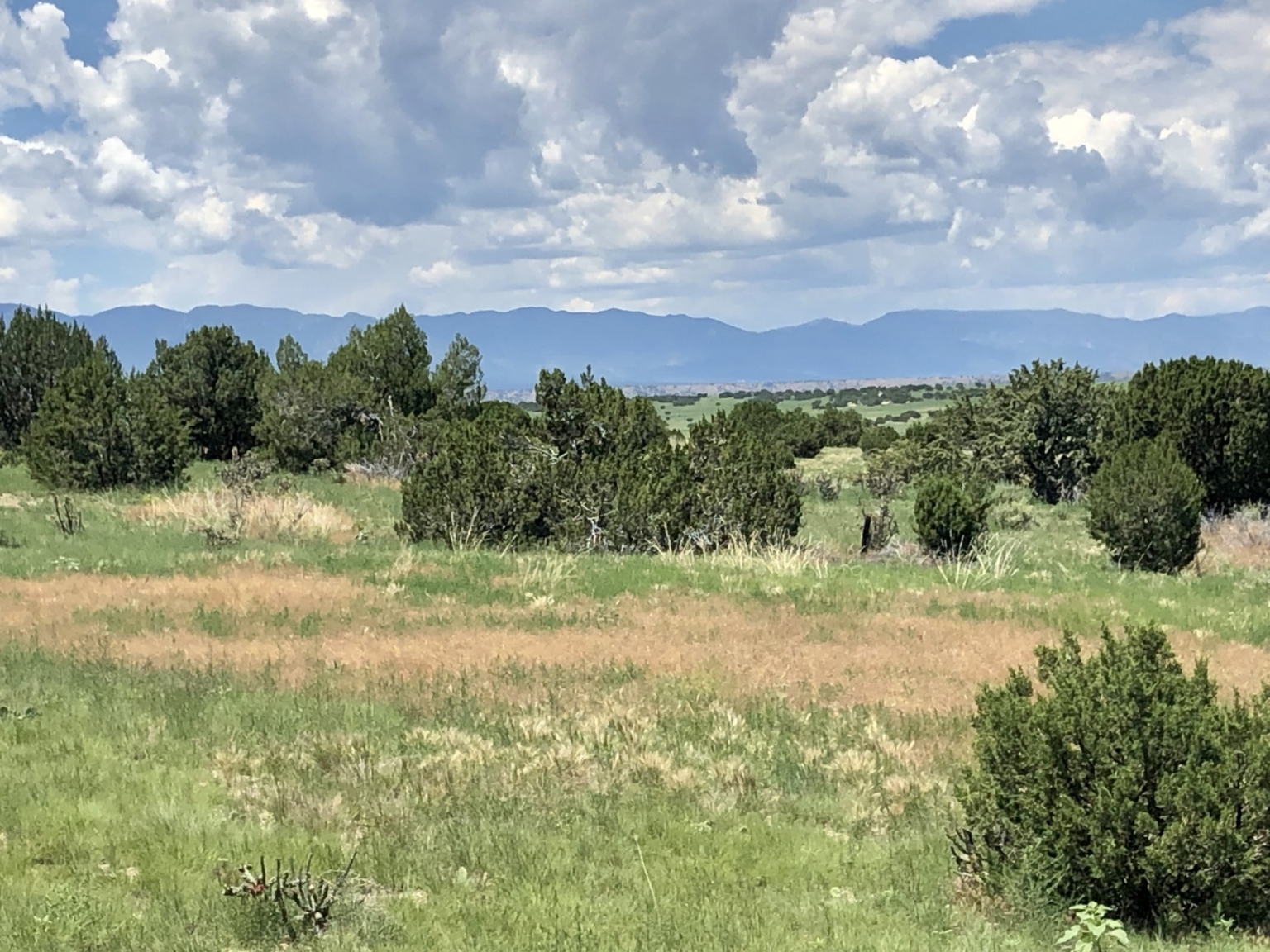 Stone Creek Ranch | Pueblo Colorado | Fay Ranches