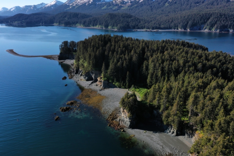 Passage Island and Coal Cove | Seldovia Alaska | Fay Ranches