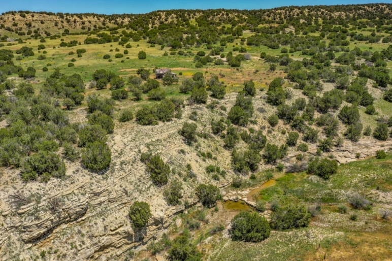Stone Creek Ranch | Pueblo Colorado | Fay Ranches