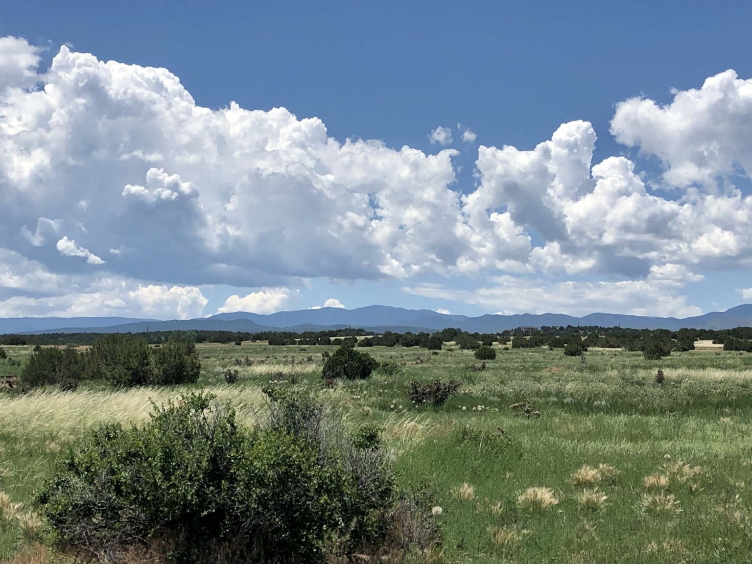 Stone Creek Ranch | Pueblo Colorado | Fay Ranches