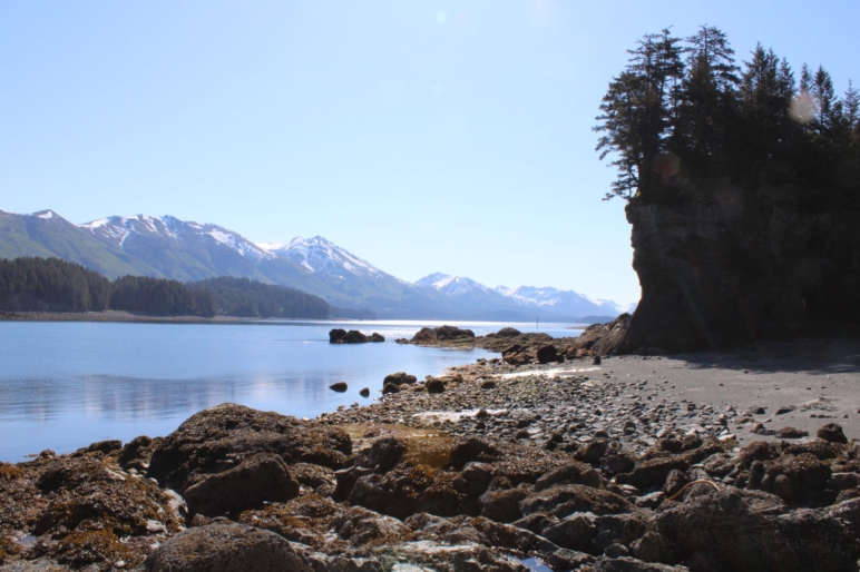 Passage Island & Coal Cove | Seldovia Alaska | Fay Ranches