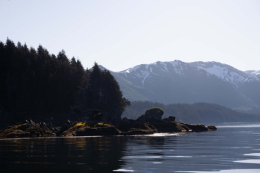 Passage Island & Coal Cove | Seldovia Alaska | Fay Ranches