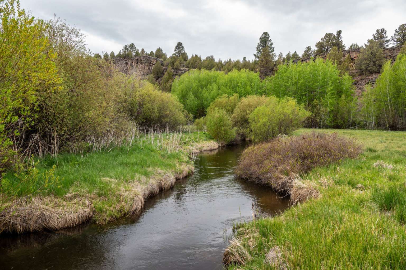 Pitcher Ranch | Silver Lake Oregon | Fay Ranches