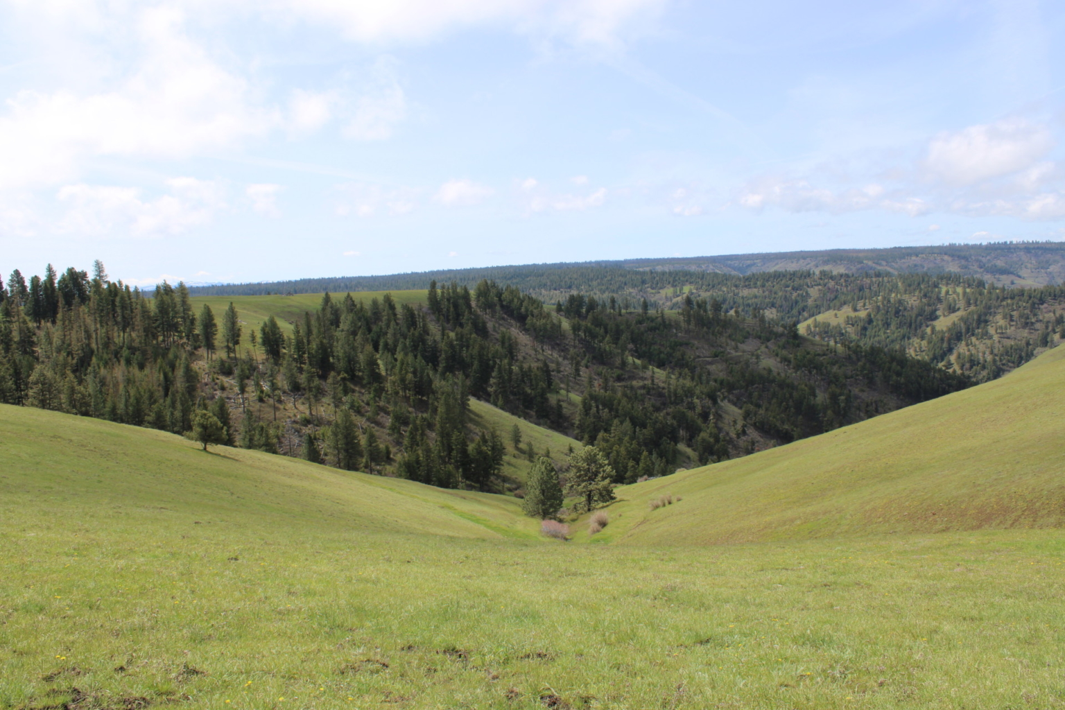 Birch Creek Ranch | Pilot Rock Oregon | Fay Ranches