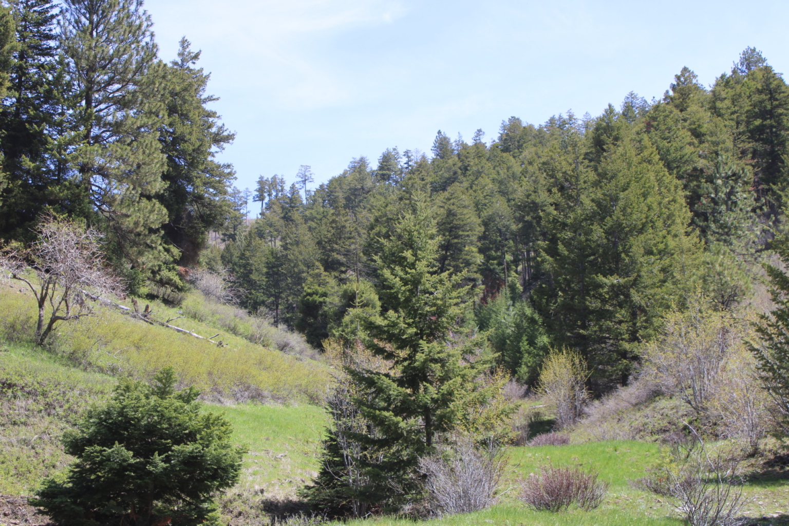 Birch Creek Ranch | Pilot Rock Oregon | Fay Ranches
