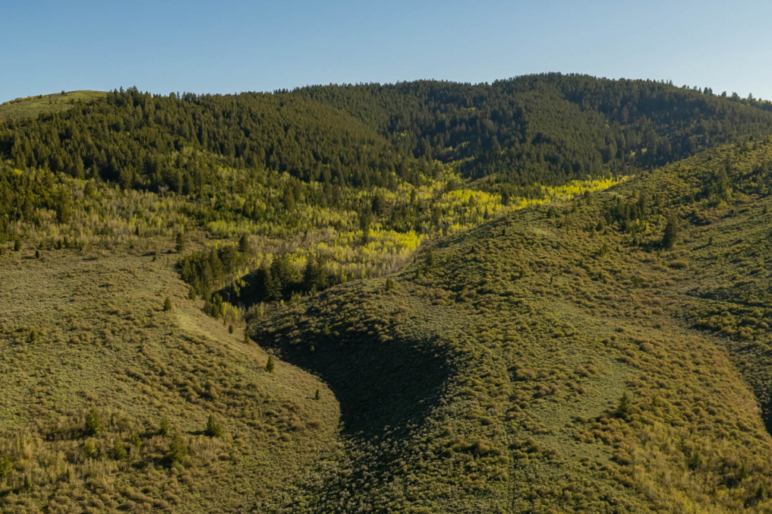 Twin Sisters Ranch | Indian Valley Idaho Real Estate | Fay Ranches