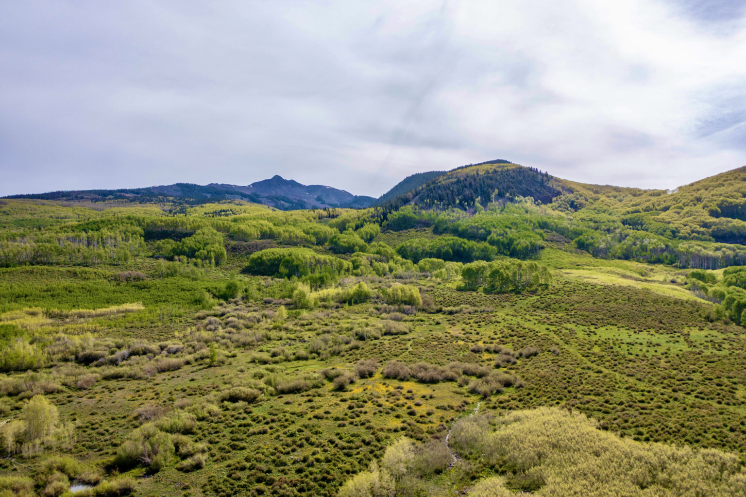 Brumley Aspen Waters Ranch | Dunton Colorado | Fay Ranches