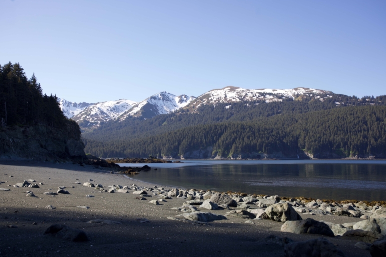 Passage Island & Coal Cove | Seldovia Alaska | Fay Ranches