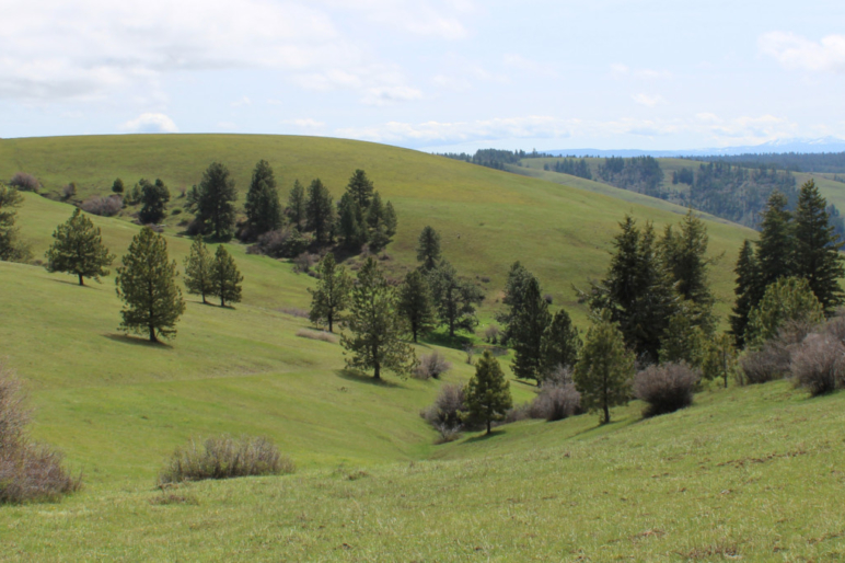 Oregon Ranch Land Properties For Sale | Fay Ranches