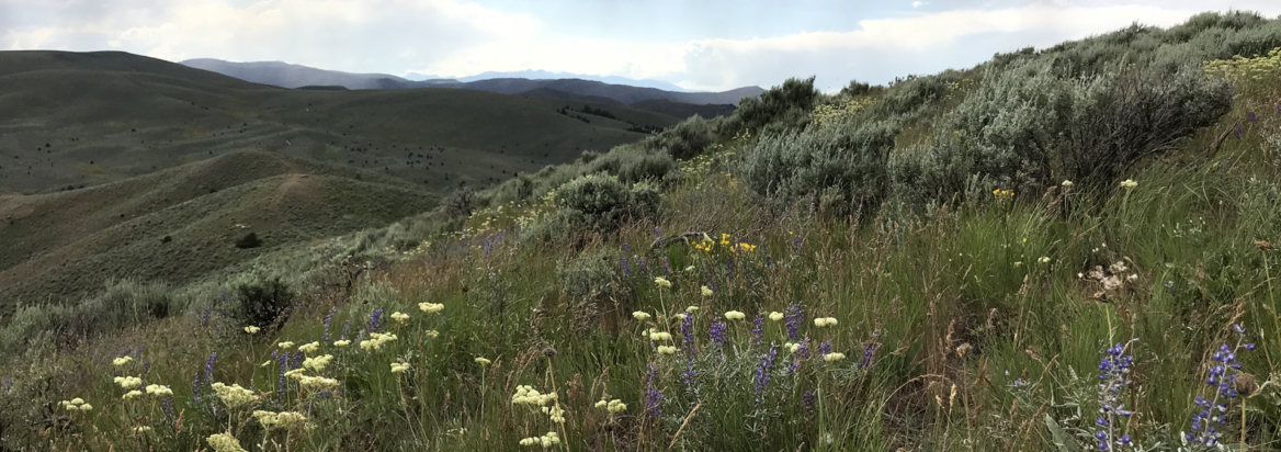 Lost Basin Ranch | Durkee Oregon | Fay Ranches