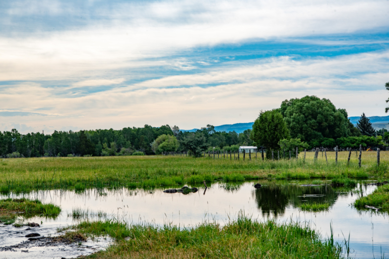 Clear Springs Ranch | Whitehall Montana | Fay Ranches