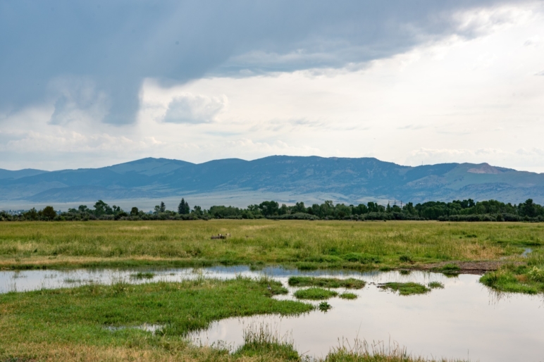 Clear Springs Ranch | Whitehall Montana | Fay Ranches