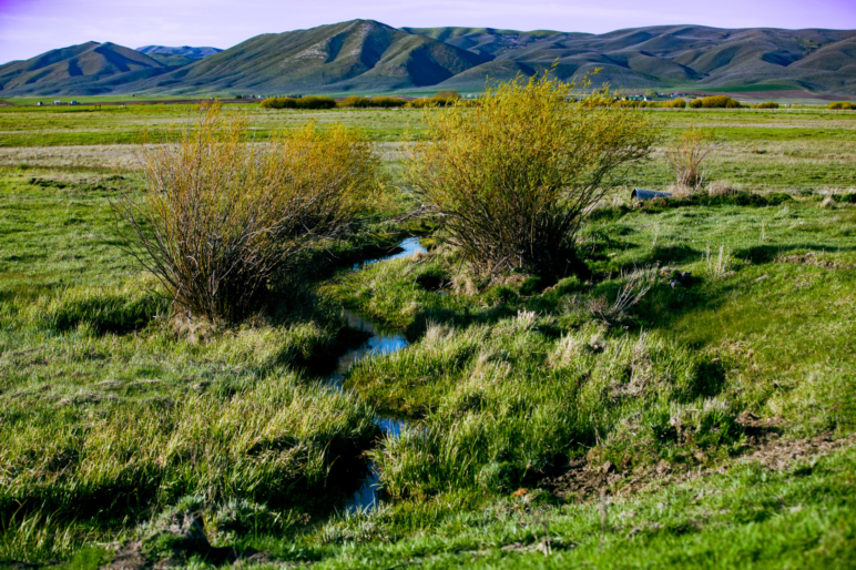 Shilo Ranch | Chesterfield Idaho | Fay Ranches