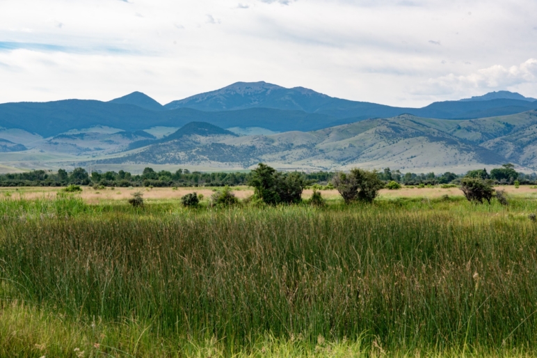 Clear Springs Ranch | Whitehall Montana | Fay Ranches