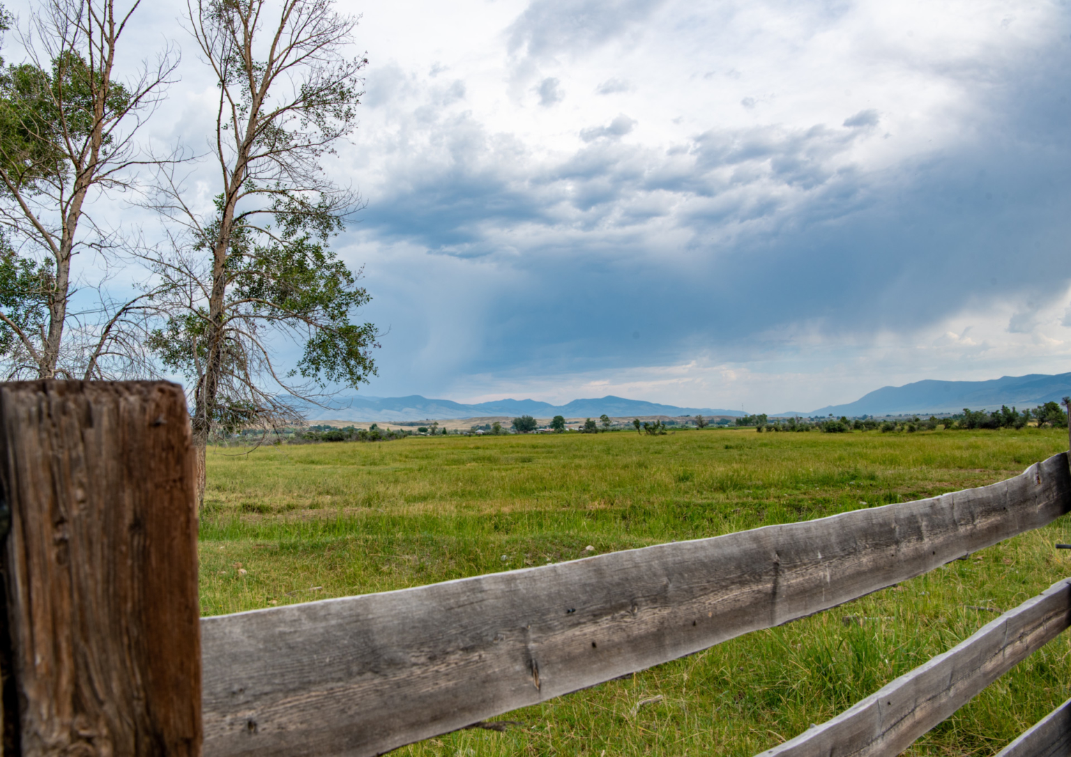 Clear Springs Ranch | Whitehall Montana | Fay Ranches
