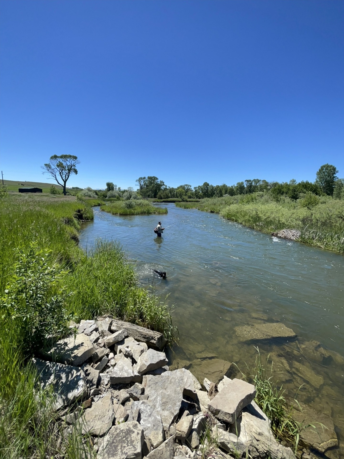 Cooney Ranch on Red Lodge Creek | Roberts Montana | Fay Ranches