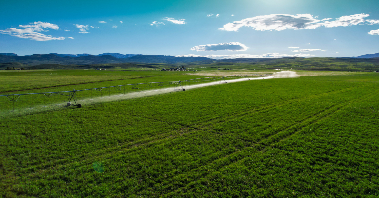 Shilo Ranch | Chesterfield Idaho | Fay Ranches