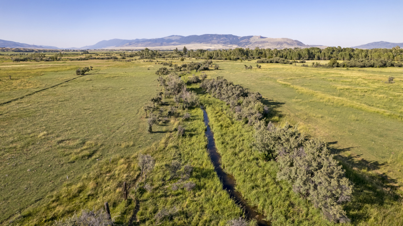 Clear Springs Ranch | Whitehall Montana | Fay Ranches