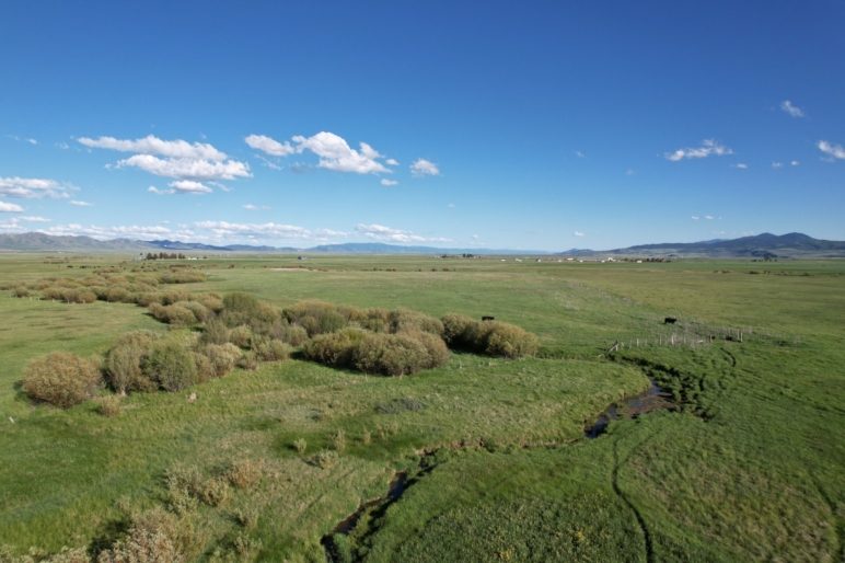 Shilo Ranch | Chesterfield Idaho | Fay Ranches