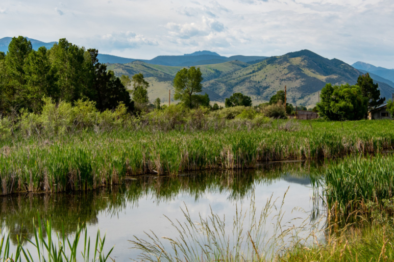 Wapiti Ranch - Montana | Fay Ranches